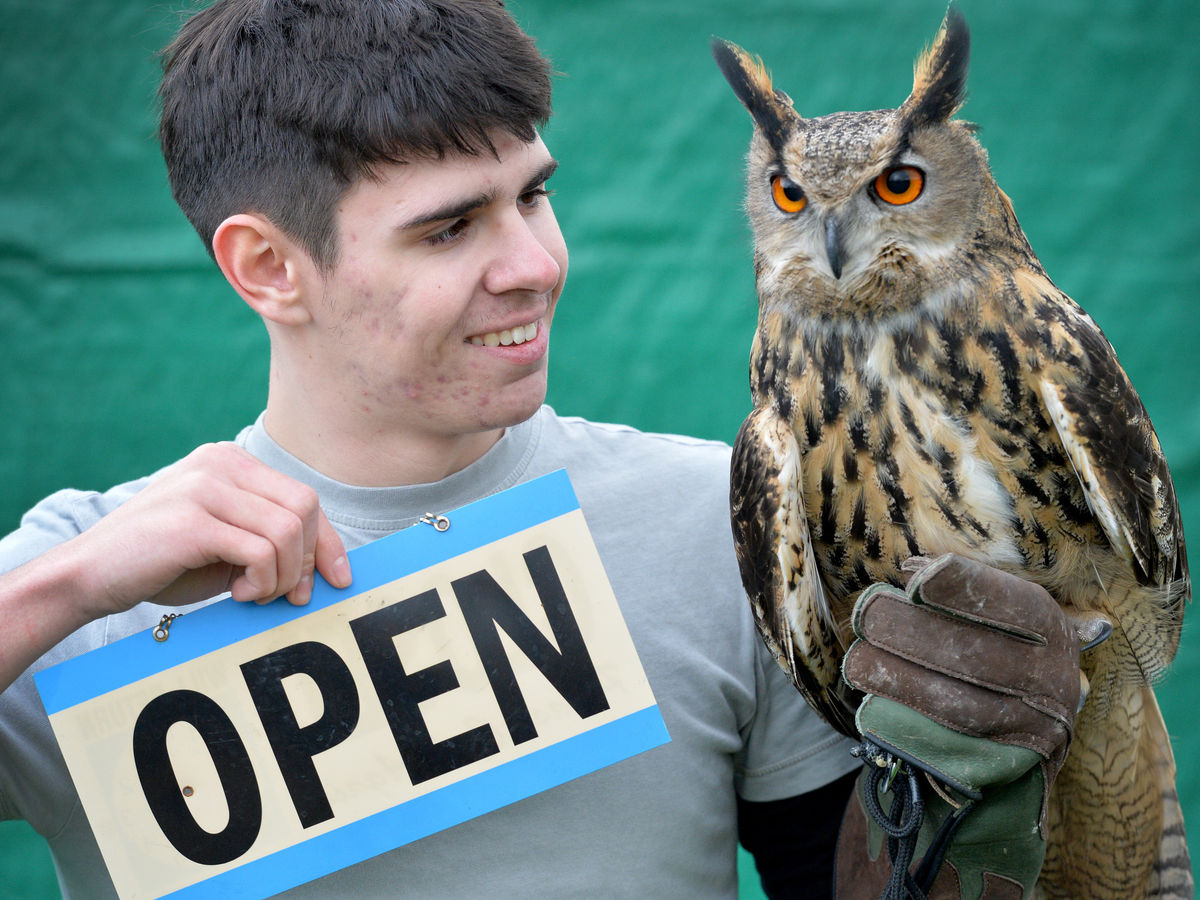 Staffordshire owl sanctuary reopens after four-month closure due to ...