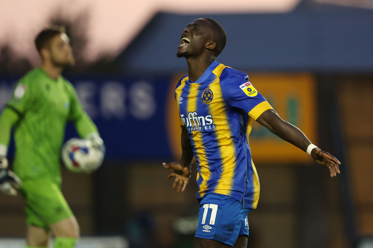 Steve Cotterill delighted to see Daniel Udoh flying for Shrewsbury ...