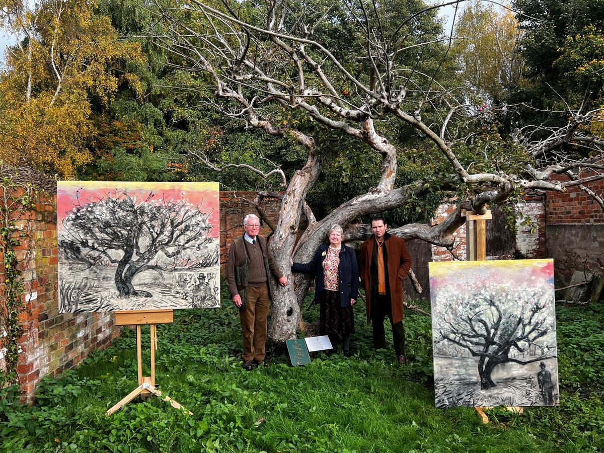 Campaign launched to support original Bramley apple tree | Shropshire Star