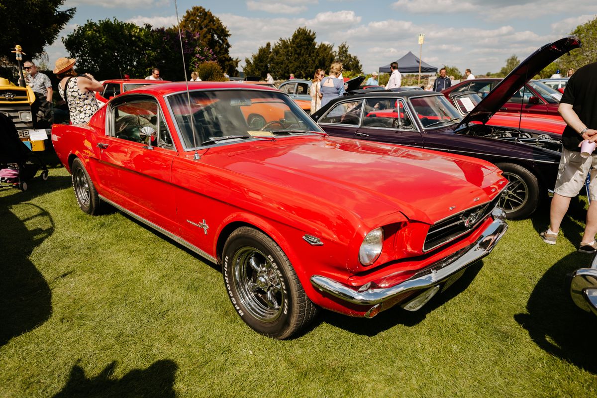 Sunny start to Ludlow Spring Festival as visitors enjoy a vibrant ...