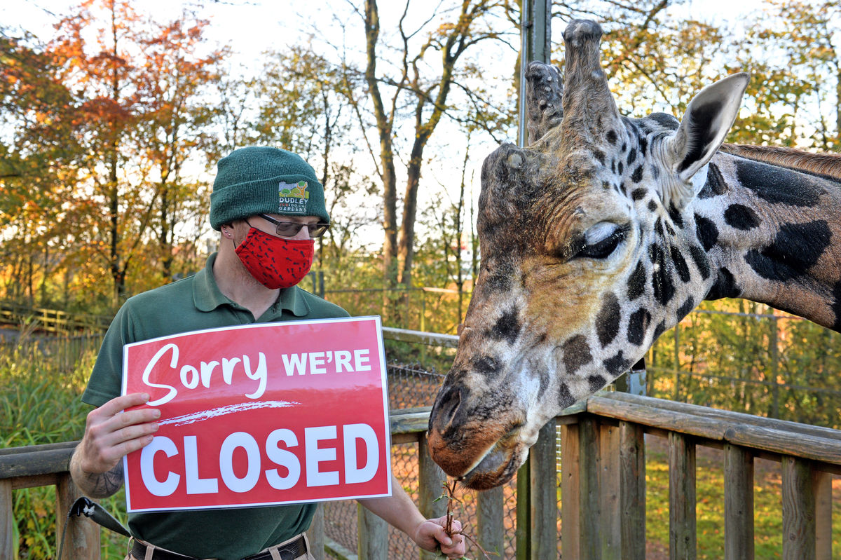 Bleak winter ahead for zoos as lockdown means lost income | Shropshire Star
