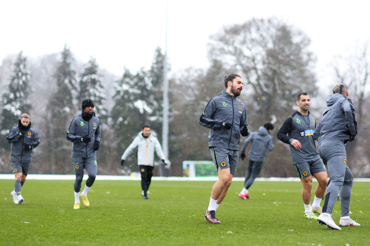 Steve Bull: Wolves are capable of beating Newcastle | Shropshire Star