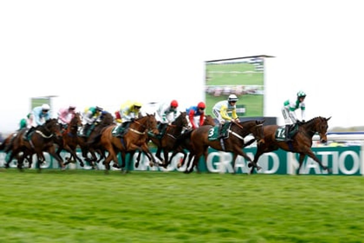 Grand national 2025 runners list: The pinstickers’ guide to this year’s ...