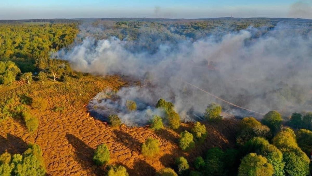 Fire chiefs' warning people to stay home after 19 deliberate fires in ...