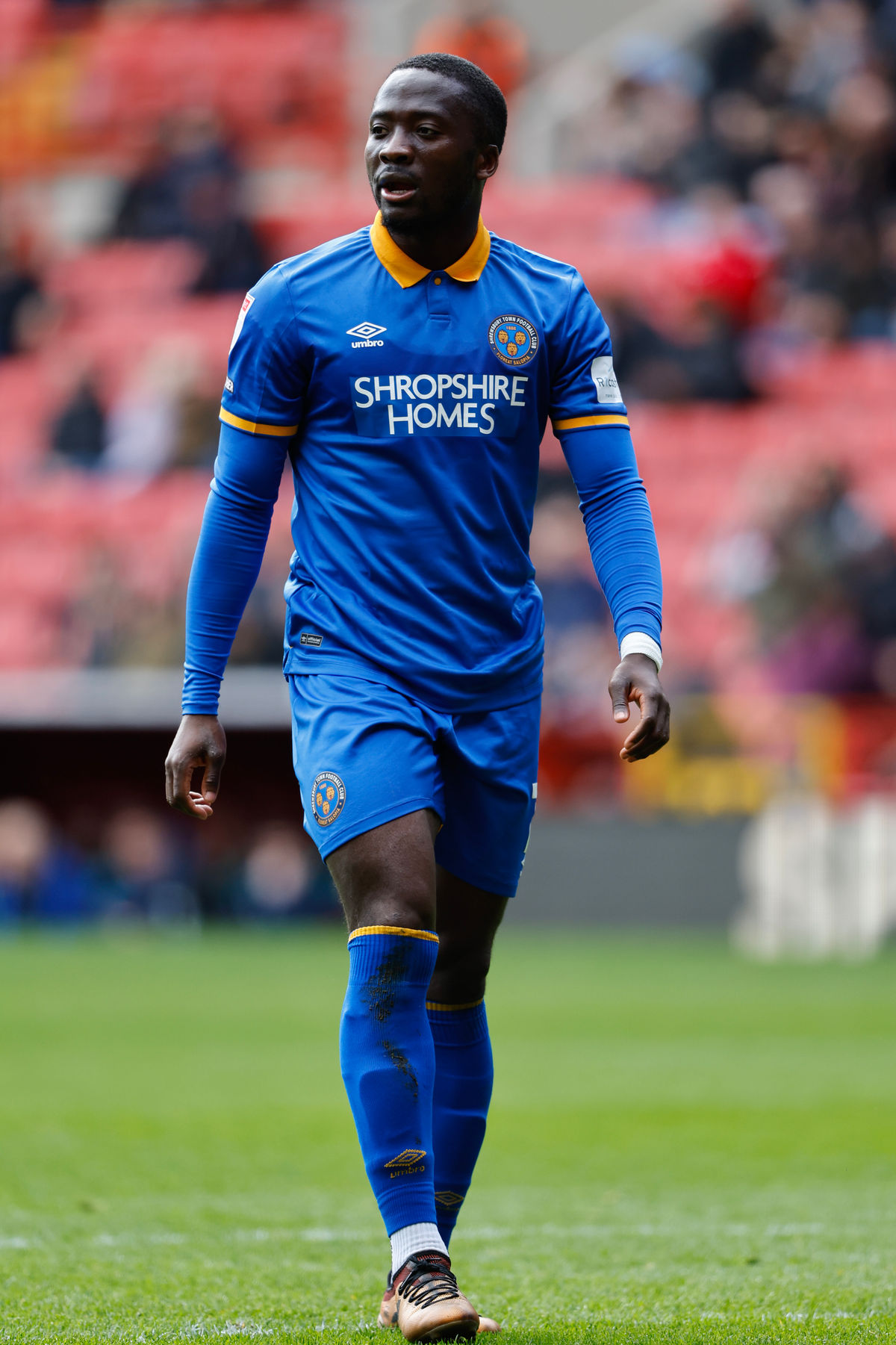 Paul Hurst returns contract decision back to Shrewsbury striker Dan ...