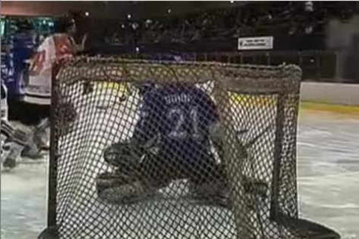 Contrasting fortunes for Telford Tigers star Marek Hornak | Shropshire Star