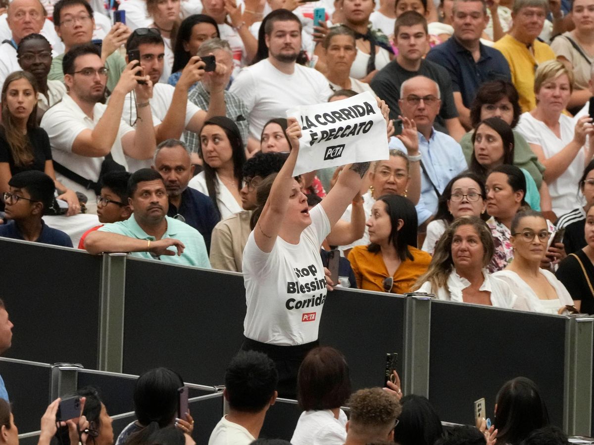 Peta protesters at Vatican audience urge Pope to denounce bullfighting ...