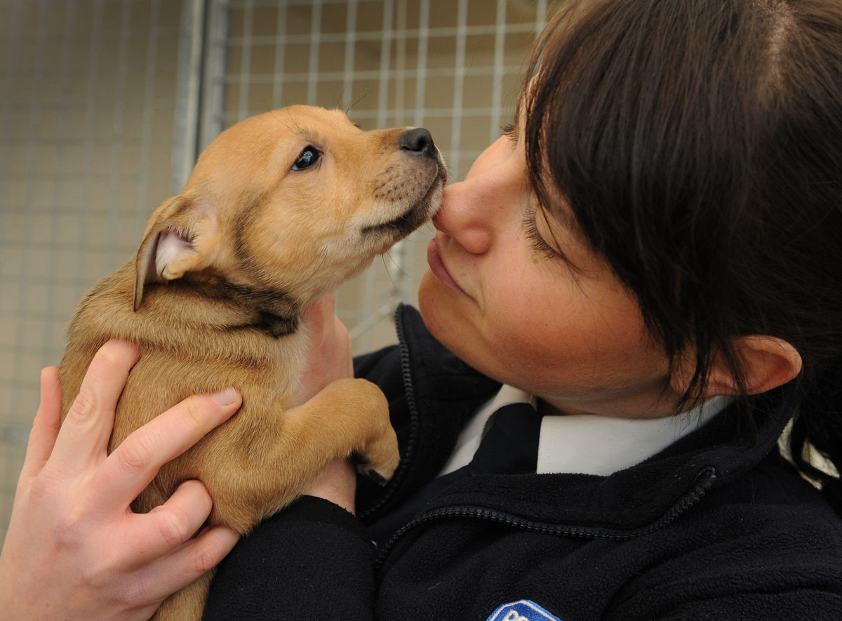 Pet rescue! Kate Parker of the RSPCA tells Weekend about her job ...