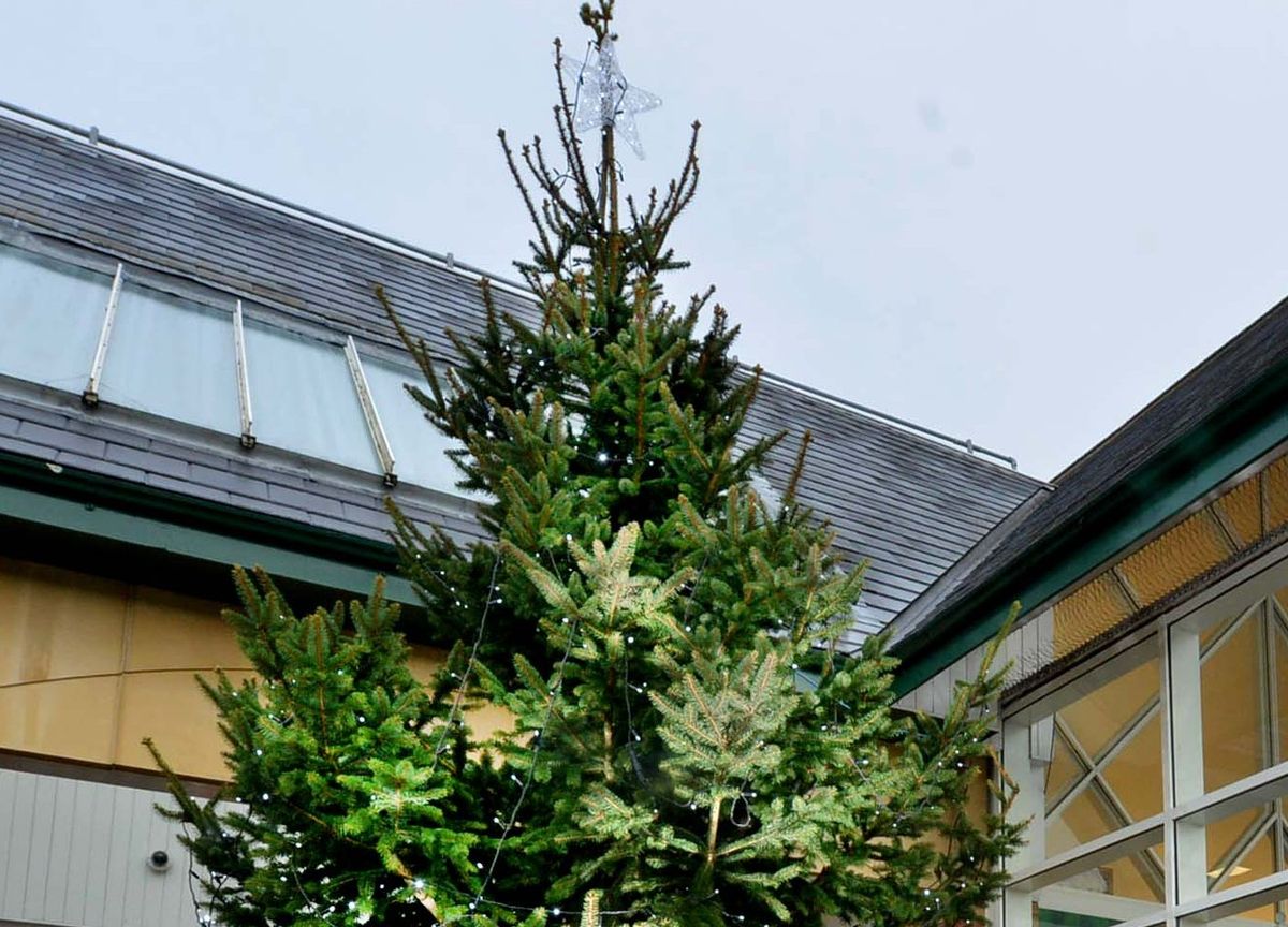 Market Drayton Tree of Lights charity appeal is saved | Shropshire Star