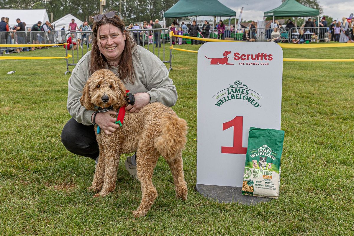 'Good Citizen' Ozzy the crossbreed dog will help put the Black Country ...