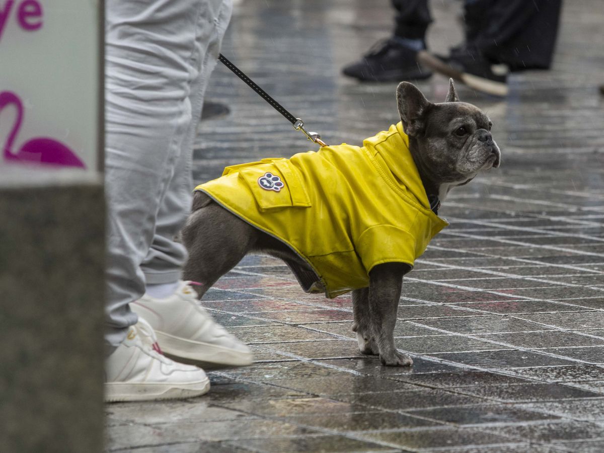 Heavy rain and thunder could hit parts of UK this week – Met Office | Express & Star