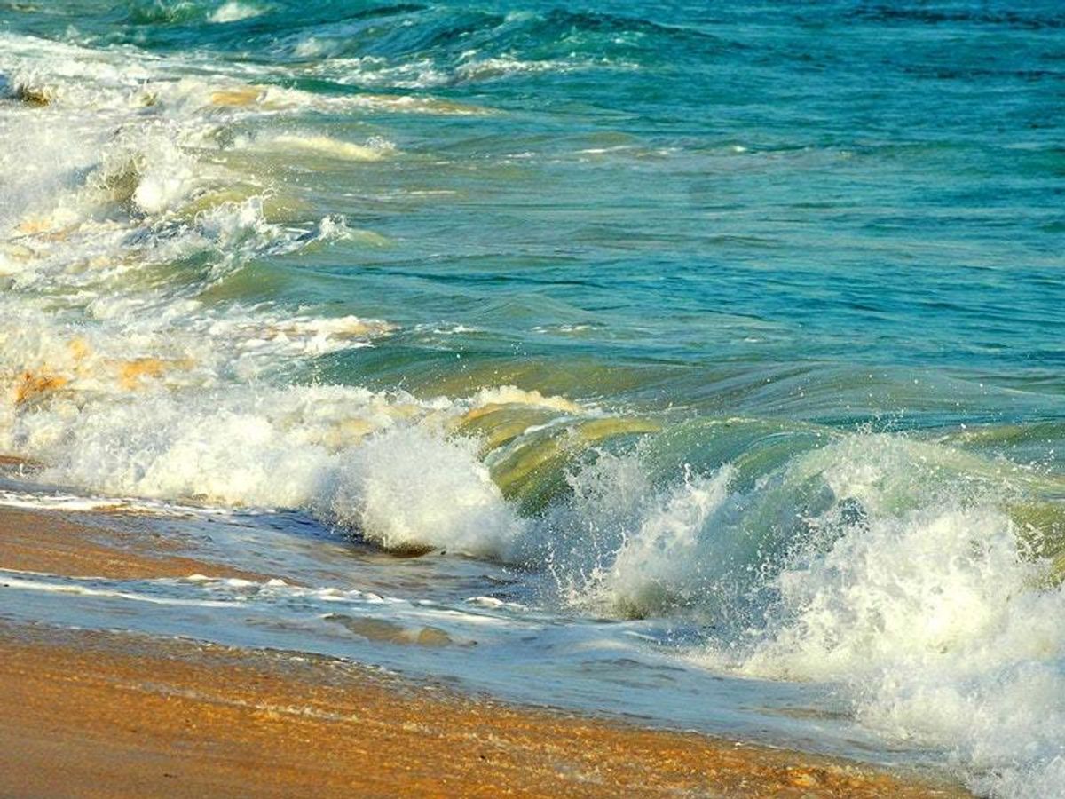 Mass extinction event ‘disrupted’ ocean ecosystems for millions of ...