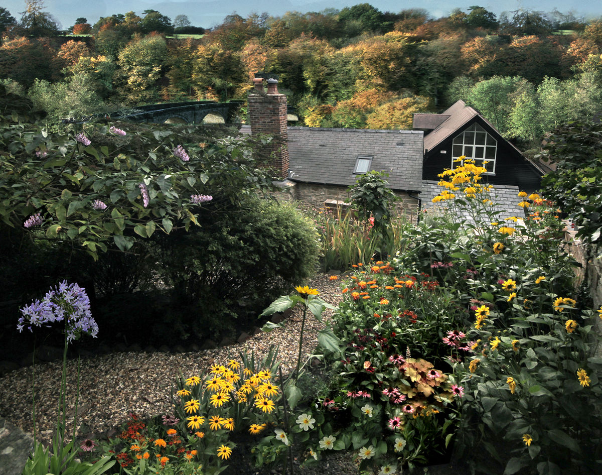 Gardens opening in Ludlow | Shropshire Star