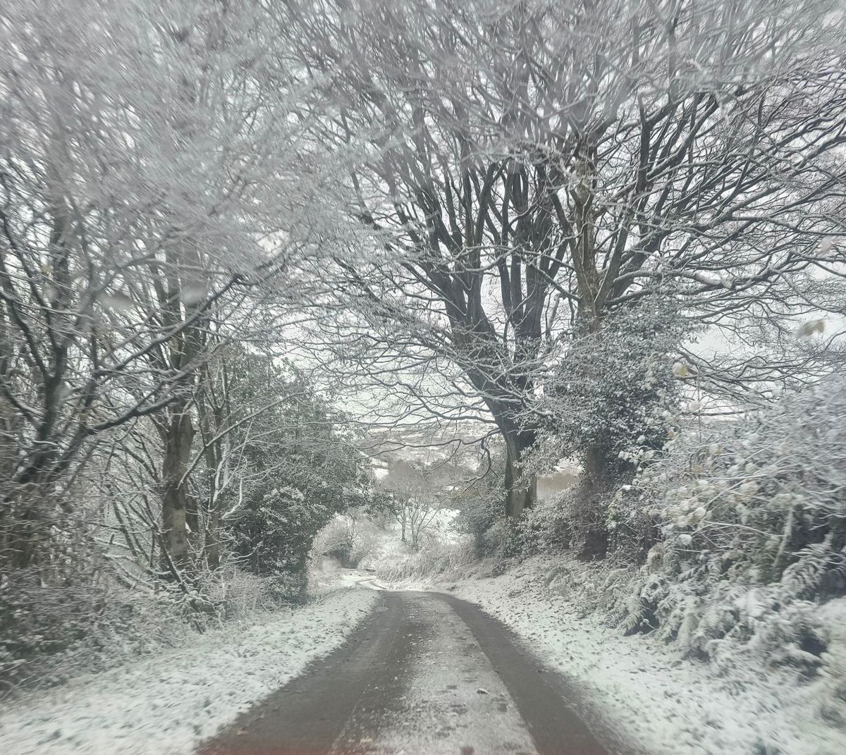 More of your incredible photos of wintry Shropshire scenes - including ...