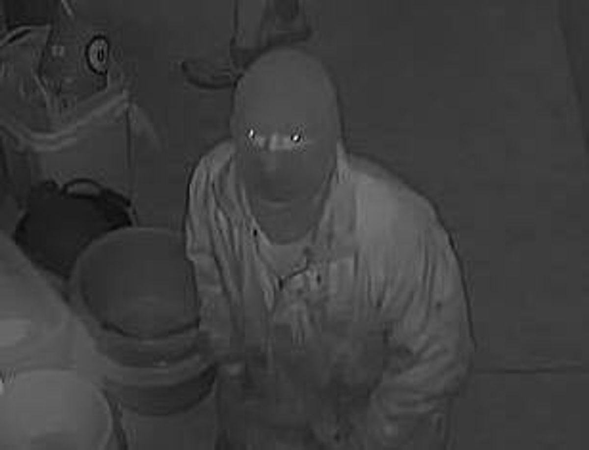 CCTV captured burglars who stole medication 'potentially fatal to ...