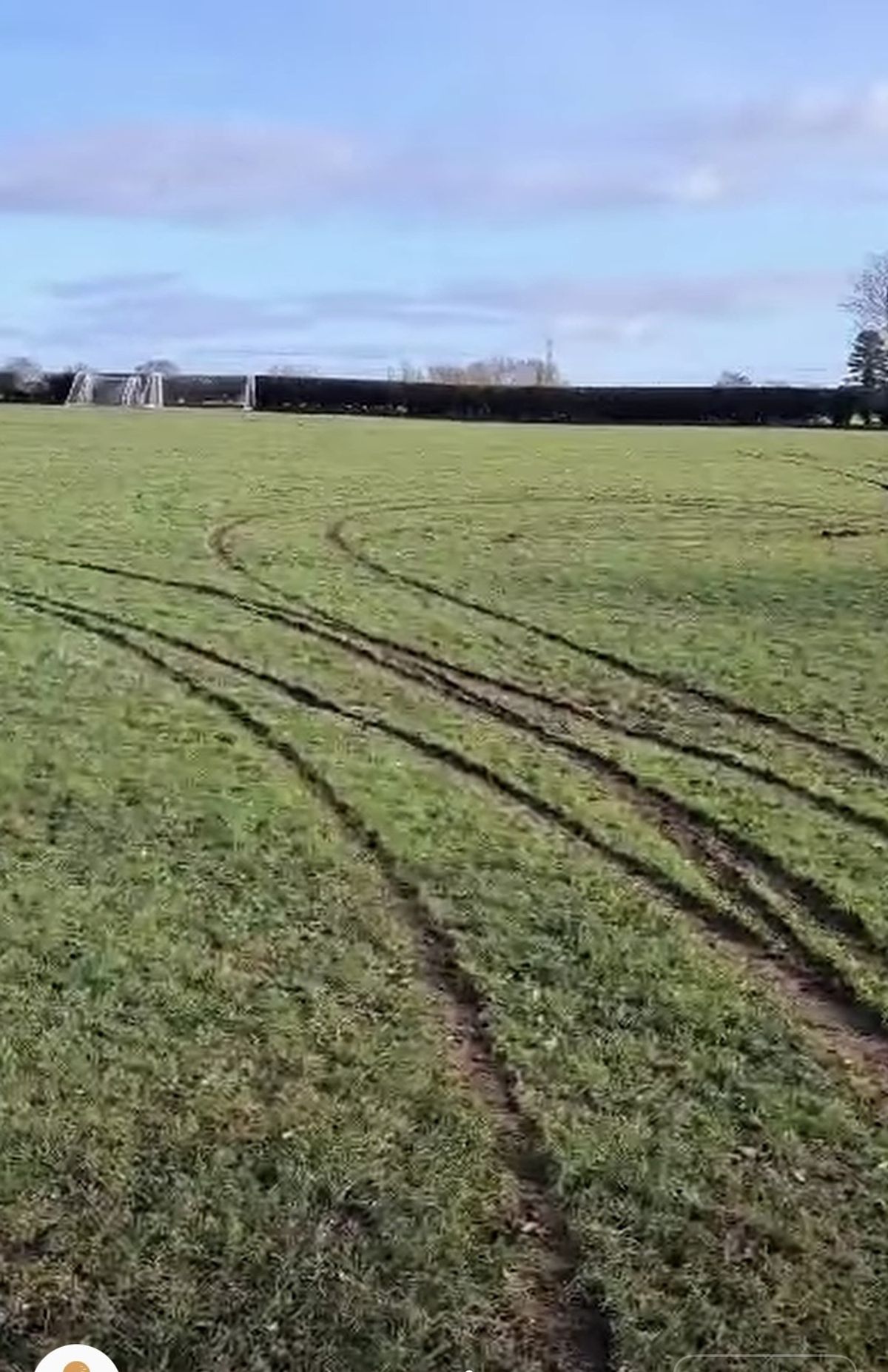 Baschurch football pitch damaged by joyriders - prompting police appeal ...