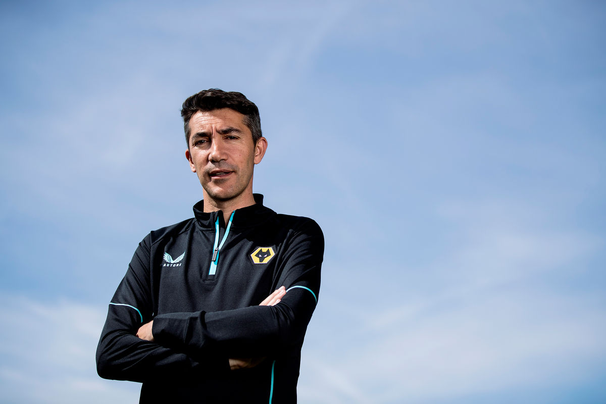 Dave Edwards: Wolves facing a huge summer window | Express & Star