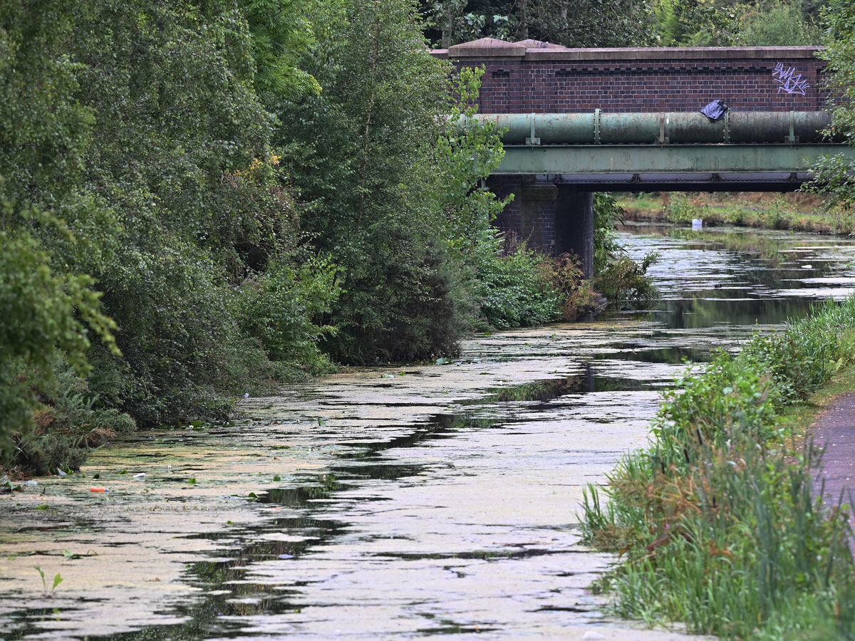 Walsall Council issues key update on sodium cyanide canal and unveils ...