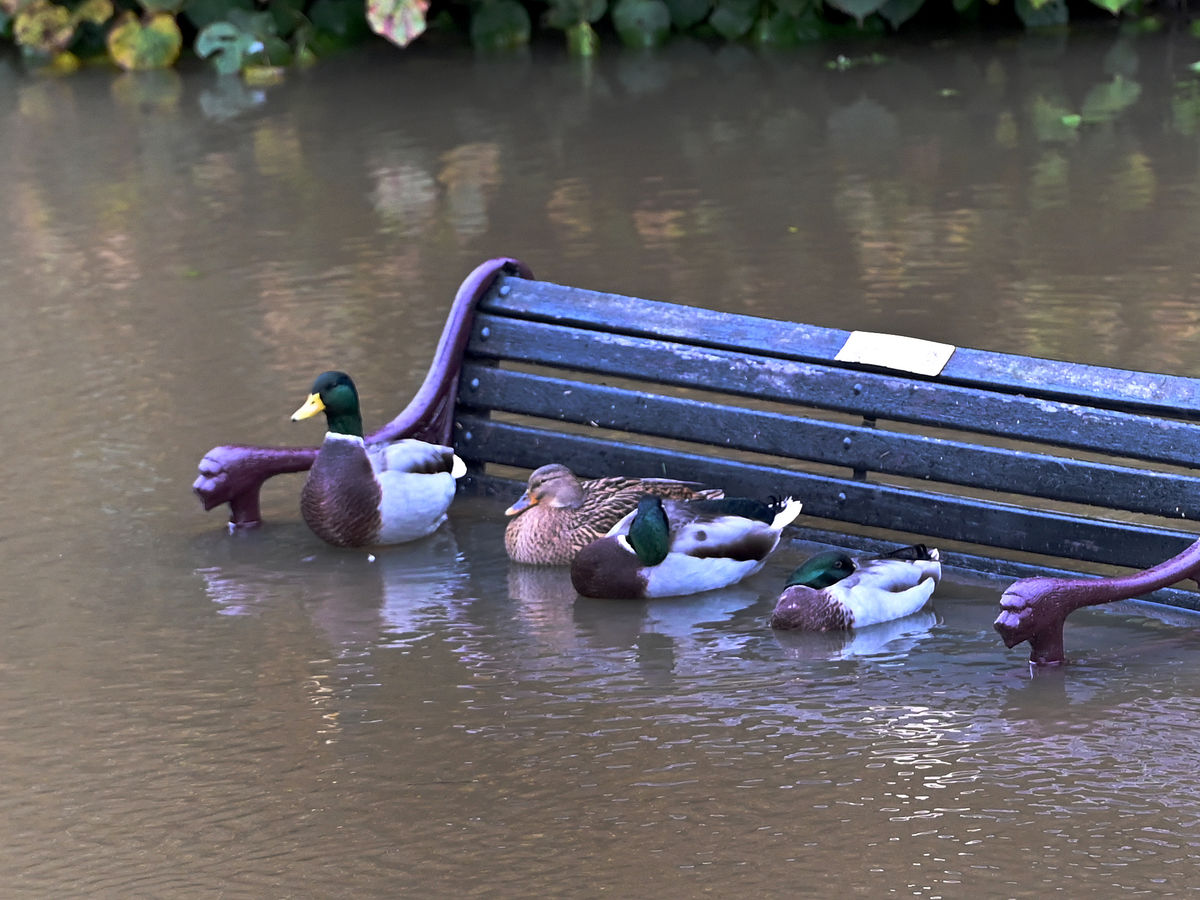 River Severn levels remain high but are "falling steadily" warn ...