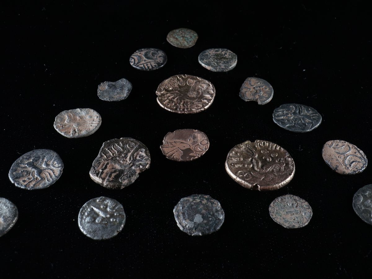 Iron Age coins one of the largest hoards found in Shropshire ...