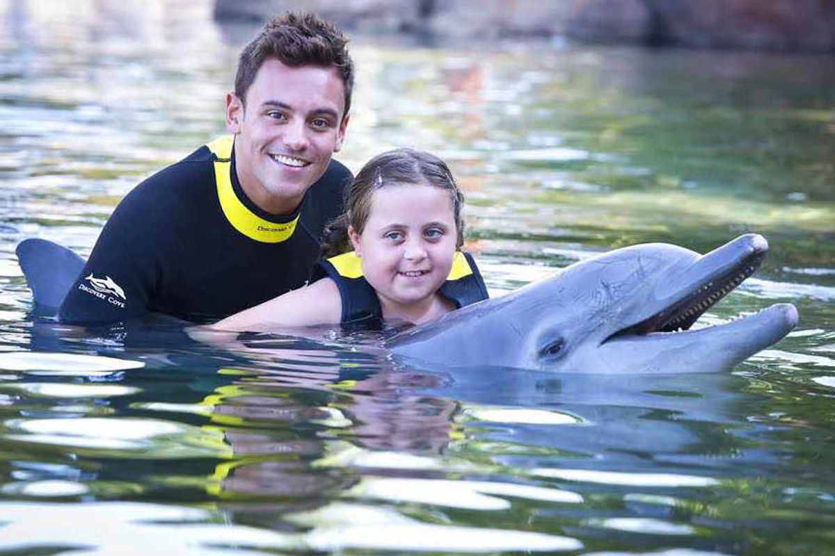 Joy for Lilly-May as star Tom Daley joins in dolphin swim | Express & Star