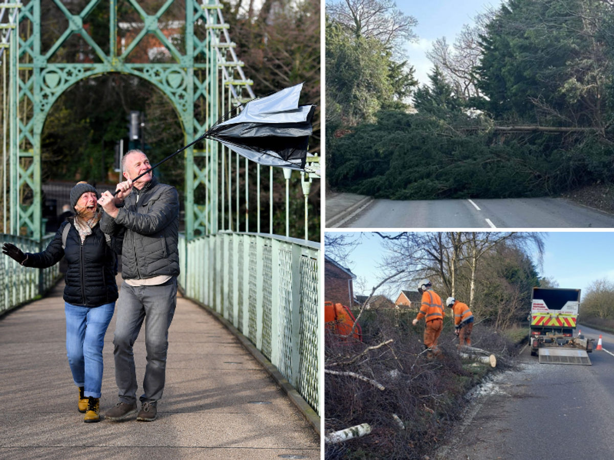 Storm Éowyn in Shropshire: Fallen trees, hundreds of families hit by ...