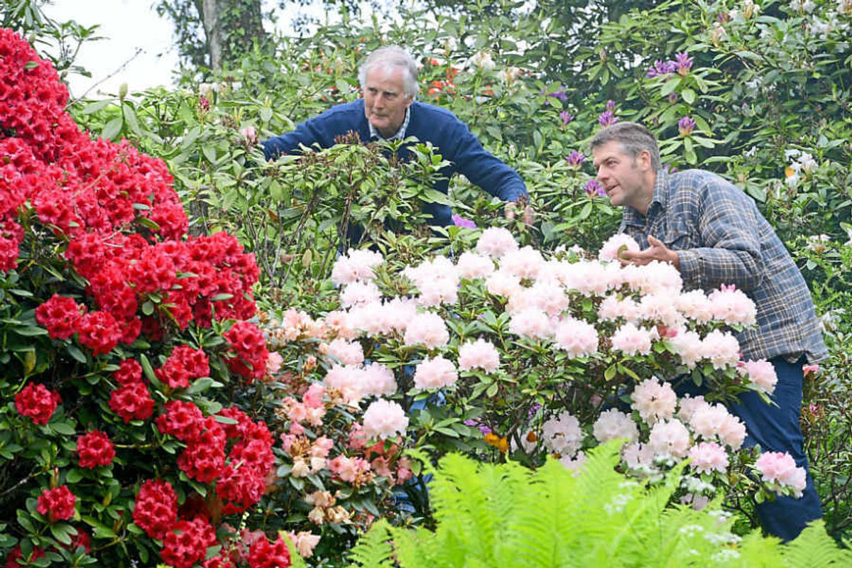 Watch: Shropshire garden to fling its doors open to the public ...
