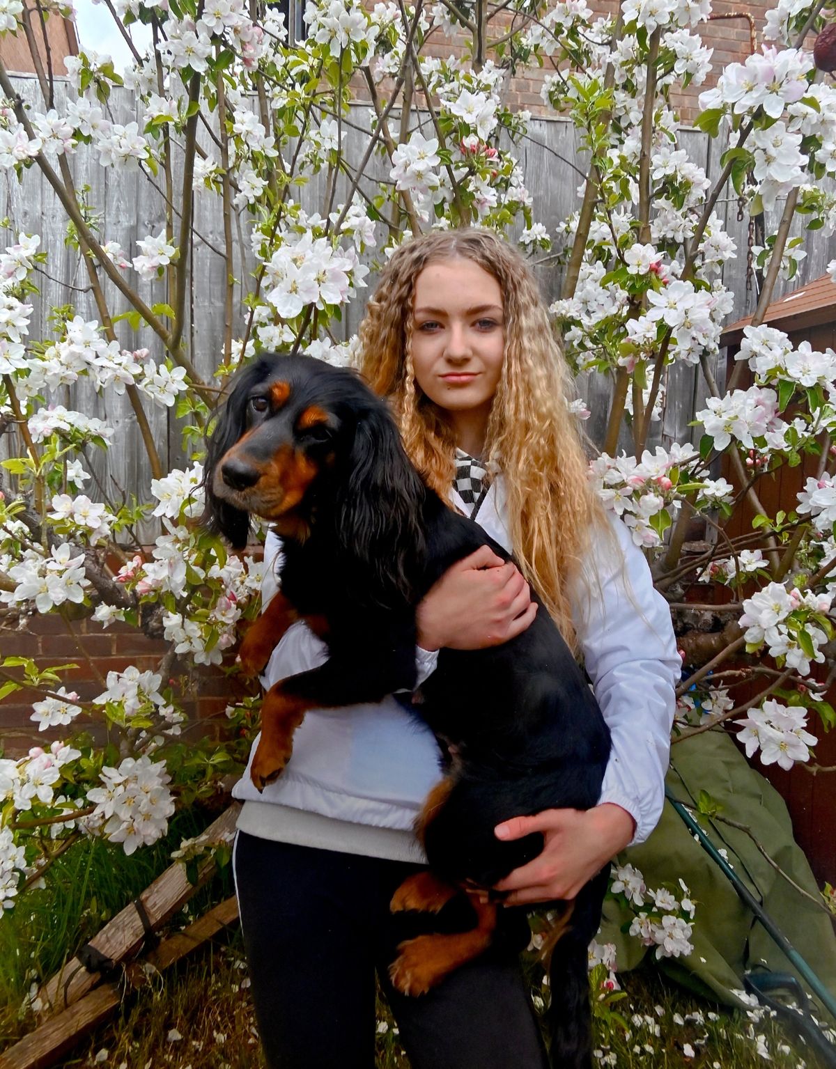 Senior cop lifts lid on investigation of crash that killed teenager - and shares key message for ...