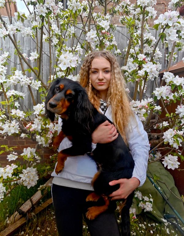 Senior cop lifts lid on investigation of crash that killed teenager ...