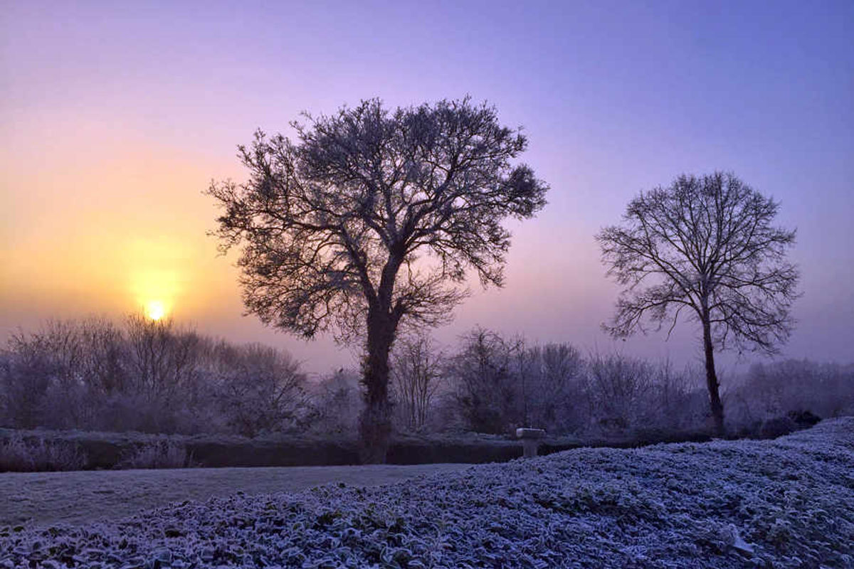 Shropshire weather: Fog and freezing temperatures hit the county - with ...