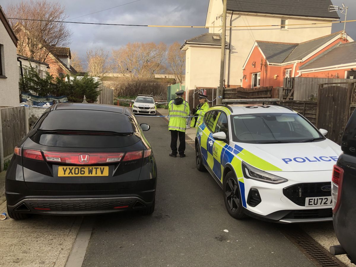 Fatal dog attacks in UK so far this year | Express & Star