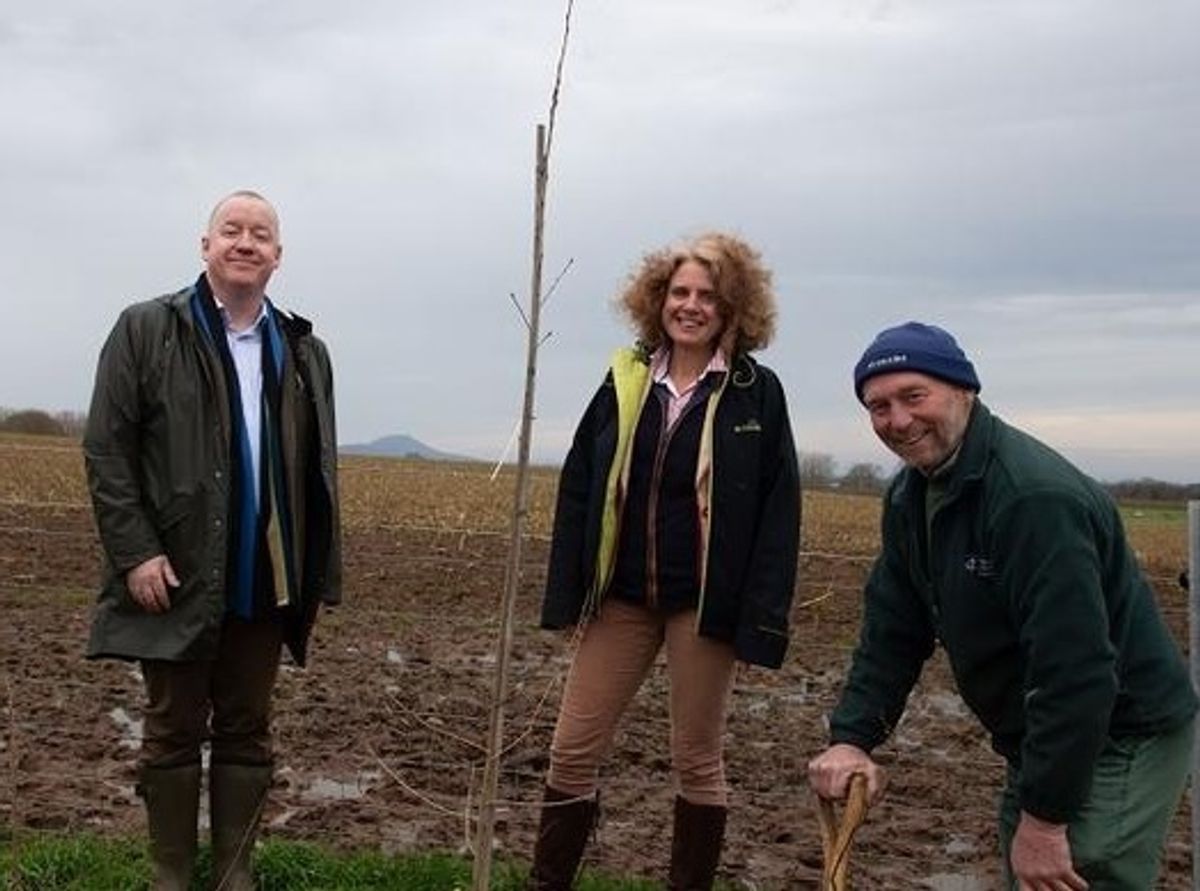 Rare trees planted at Shropshire university's Future Farm | Shropshire Star