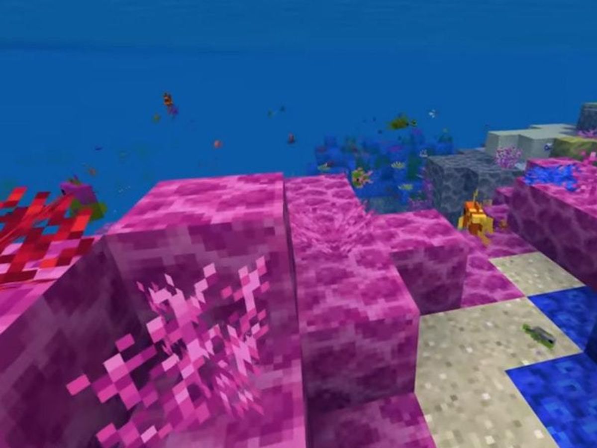 How Minecraft player creations are being used to help rebuild coral ...