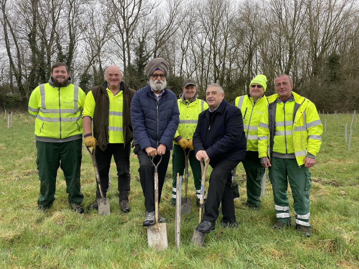 New trees planted in Sandwell's open spaces in green initiative ...